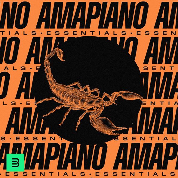 Home | BPM Create | BPM